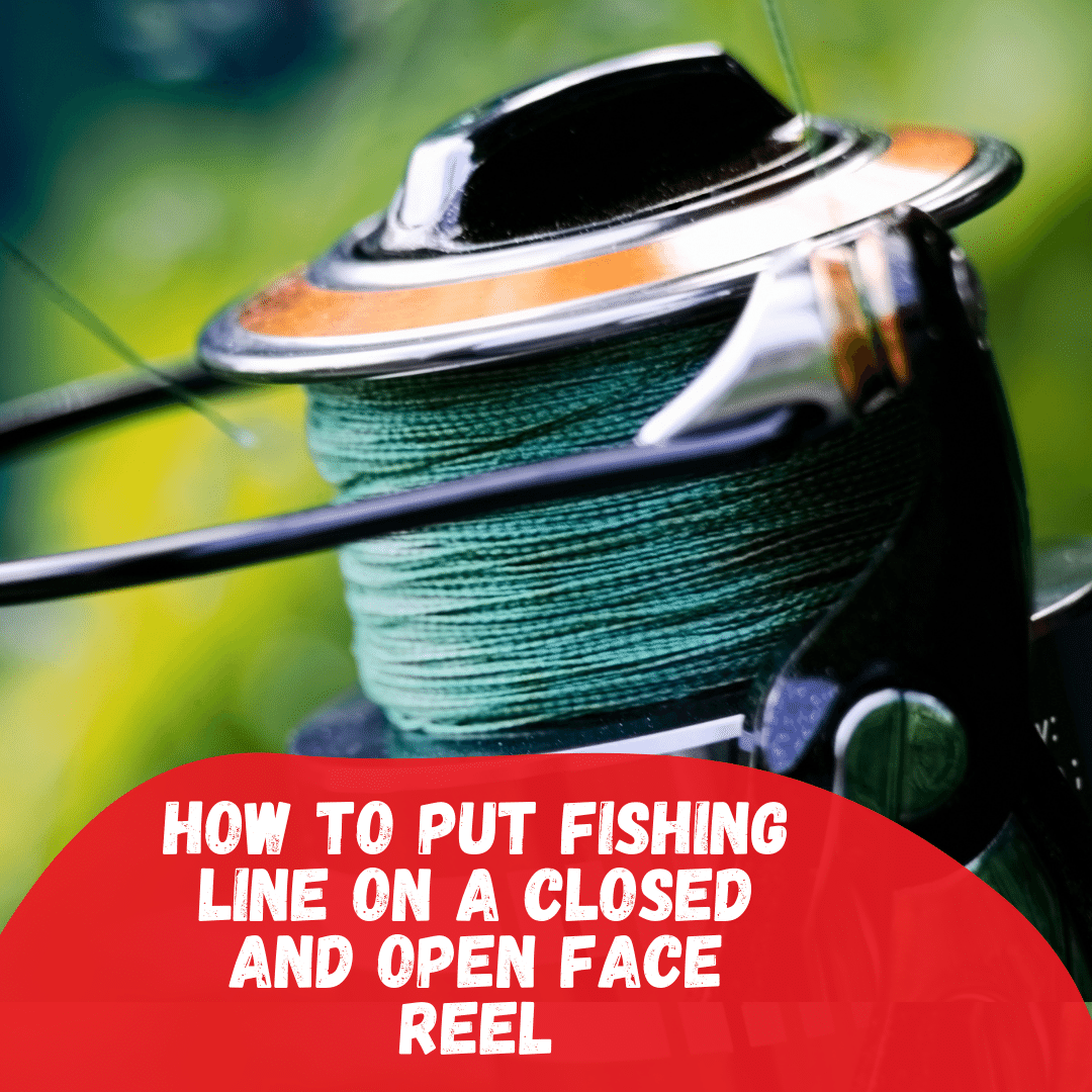 How To Put Fishing Line On A Closed And Open Face Reel Tetra Hook