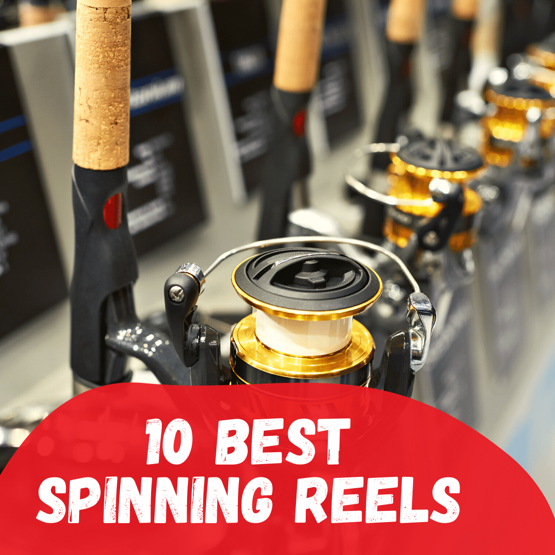 9 Best Spinning Reels on 2025 [Reviewed] – Tetra Hook