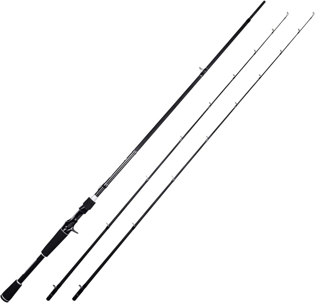 3 Best Salmon Fishing Rods and Reels in 2023 – Tetra Hook
