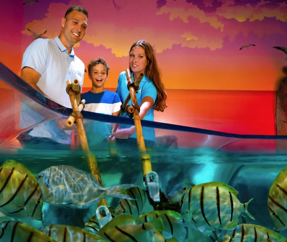 4 Family-Friendly Places to Fish in Orlando: Top Spots Revealed – Tetra ...