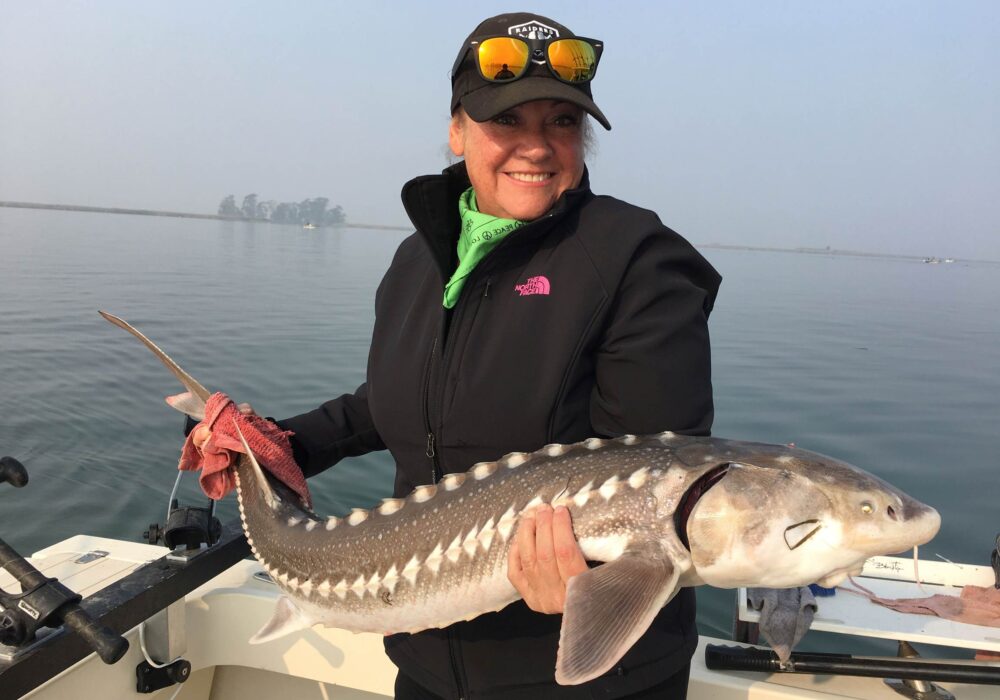 7 Best Spots for Fishing in San Francisco – Tetra Hook