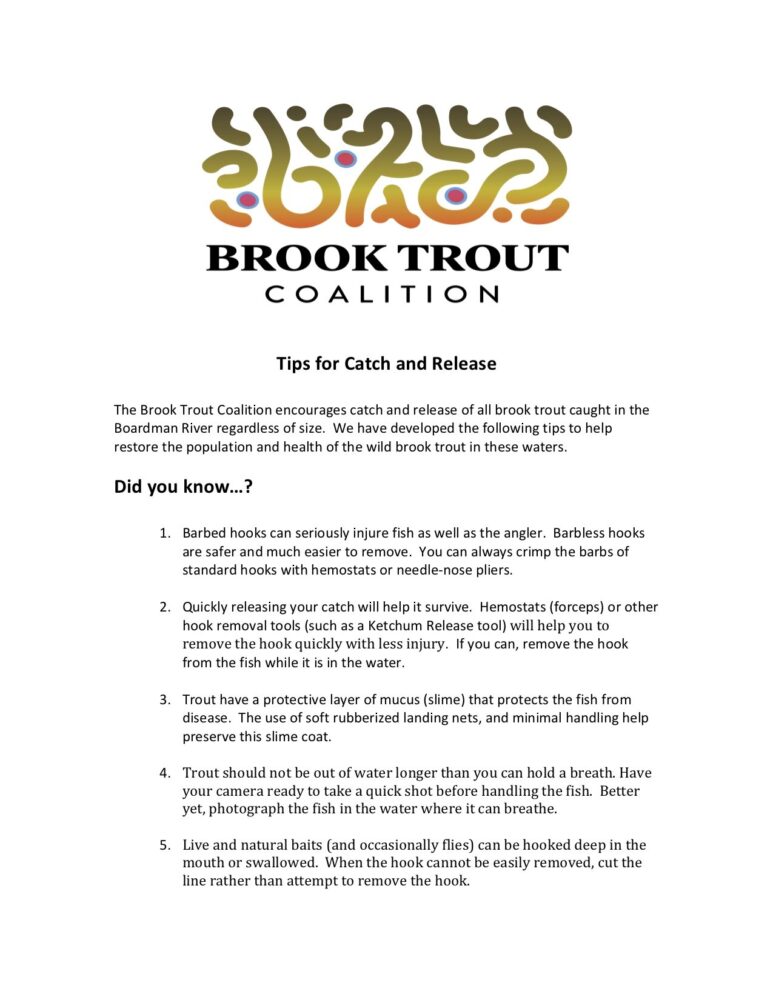 Catch And Release Fishing: 4 Tips for Easier Hook Removal – Tetra Hook