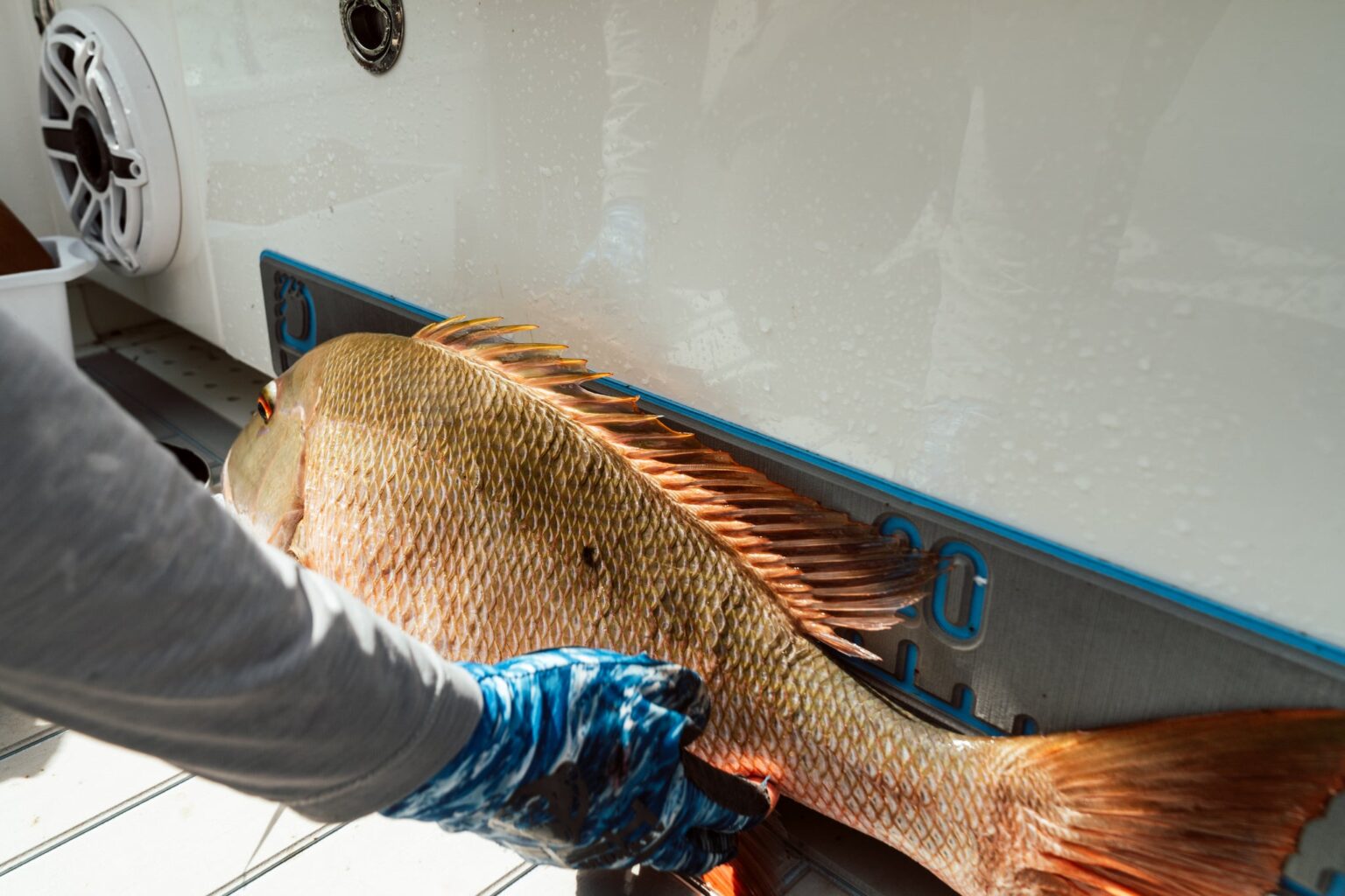 3 Types of Saltwater Shore Fishing Rigs: Master the Art of Reeling in ...