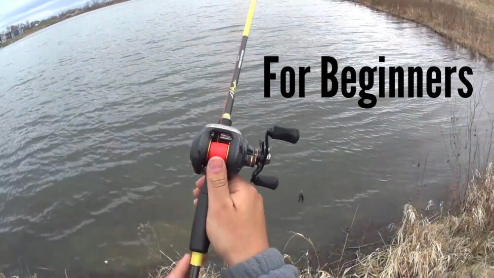 How to Cast a Baitcaster: Master the Art of Precision Fishing – Tetra Hook